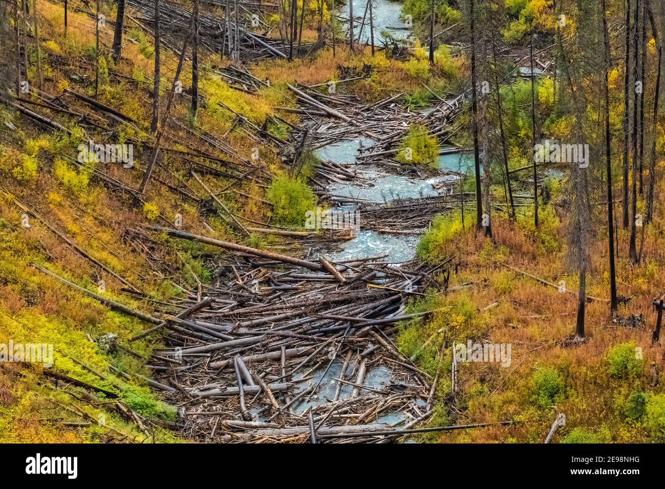 Numa creek hi-res stock photography and images - Alamy