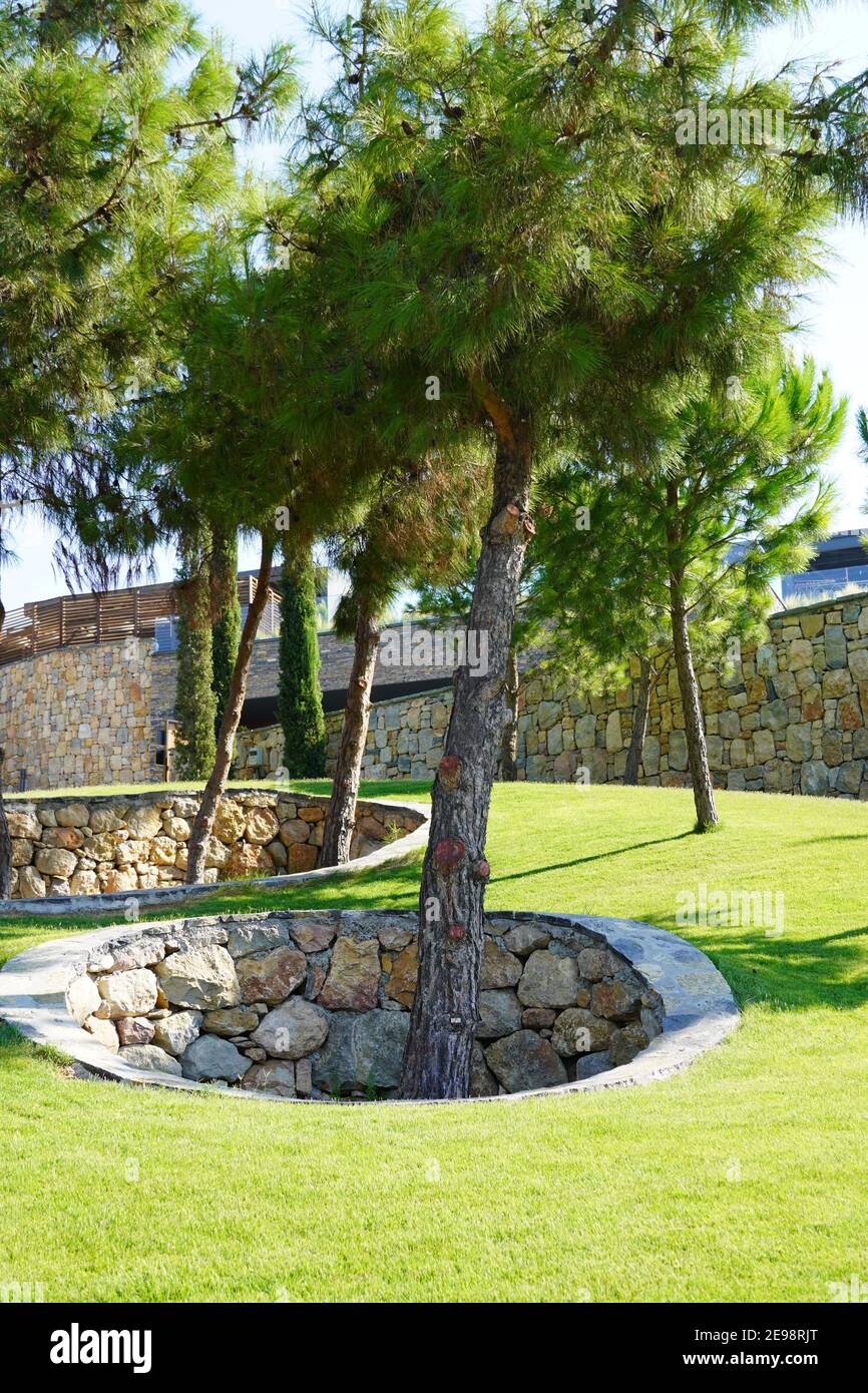 An interesting interior solution - planting of trees in a stone pit in ...