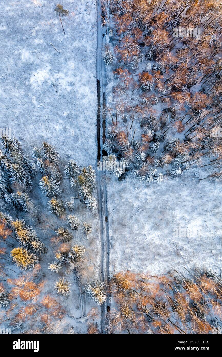 Logging forest aerial hi-res stock photography and images - Alamy