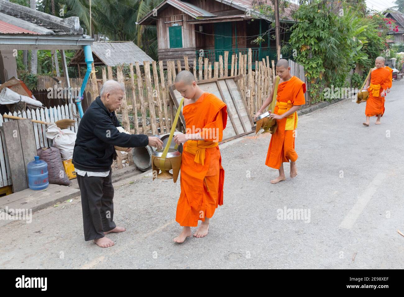 Tak Bat or The monk's morning alms procession-old man placing rice into ...