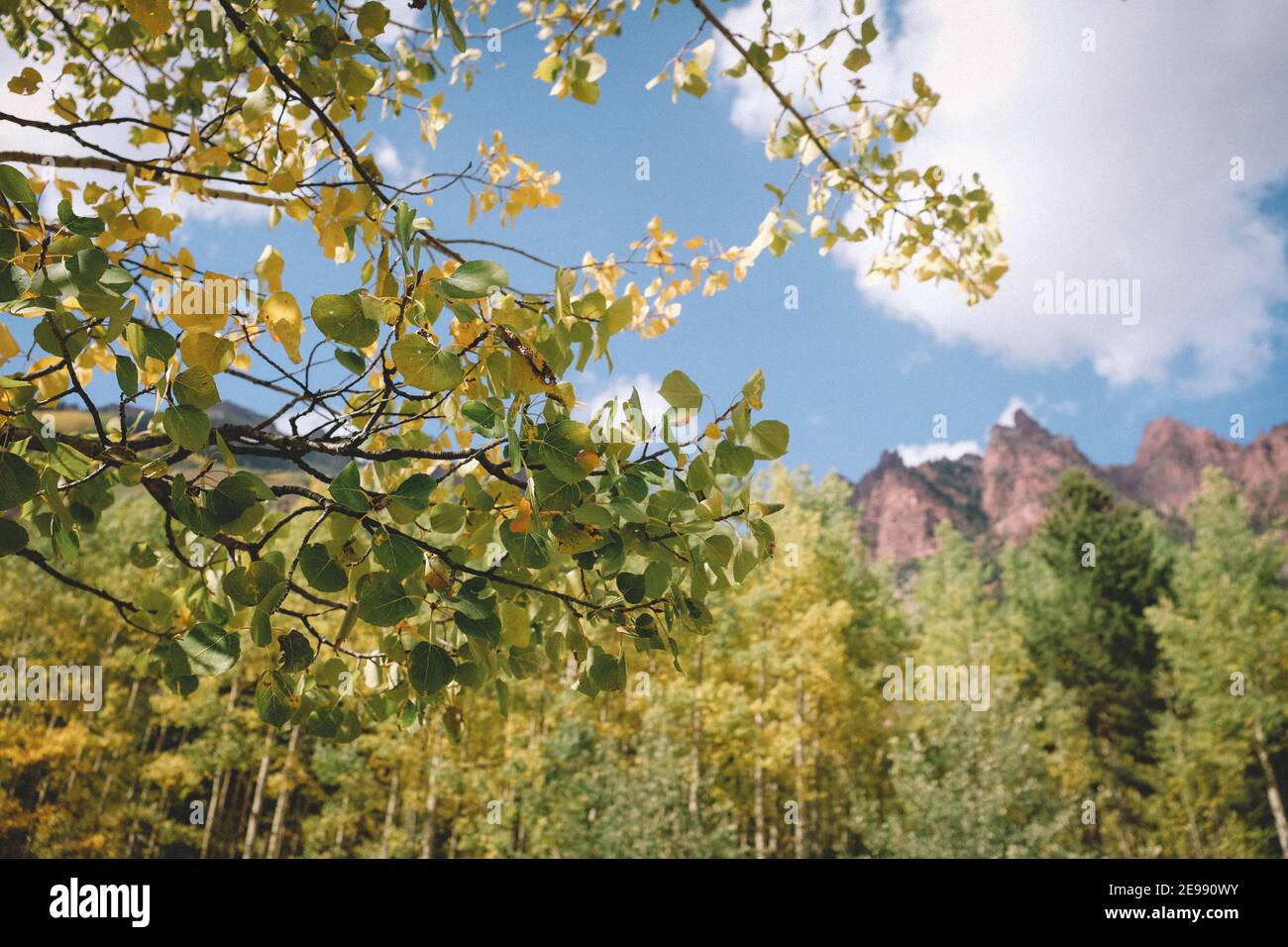 Freshman against freshman hi-res stock photography and images - Alamy