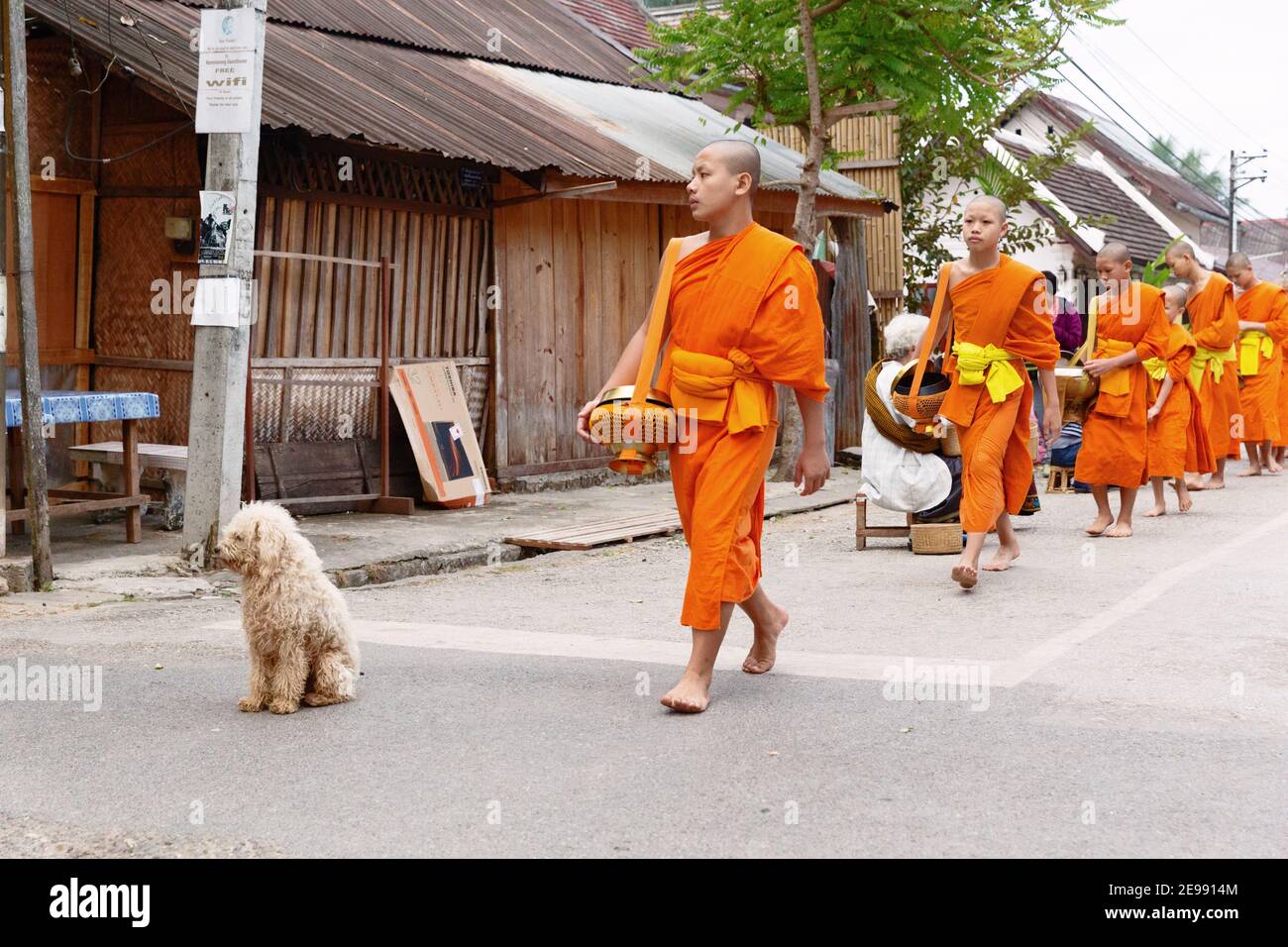 Luang Prabang, Laos Tak Bat or The monk's morning alms procession Stock ...