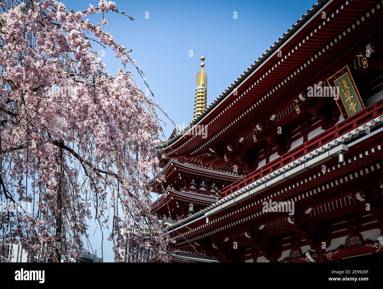 This series of photos wants to emphasise the different scenarios in ...