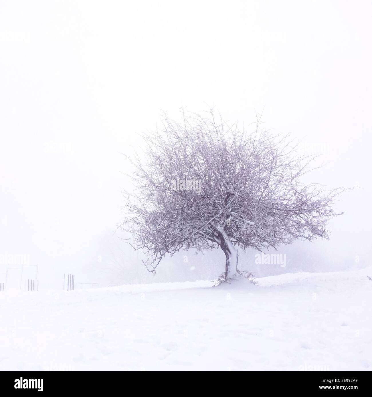 Snowy days hi-res stock photography and images - Alamy