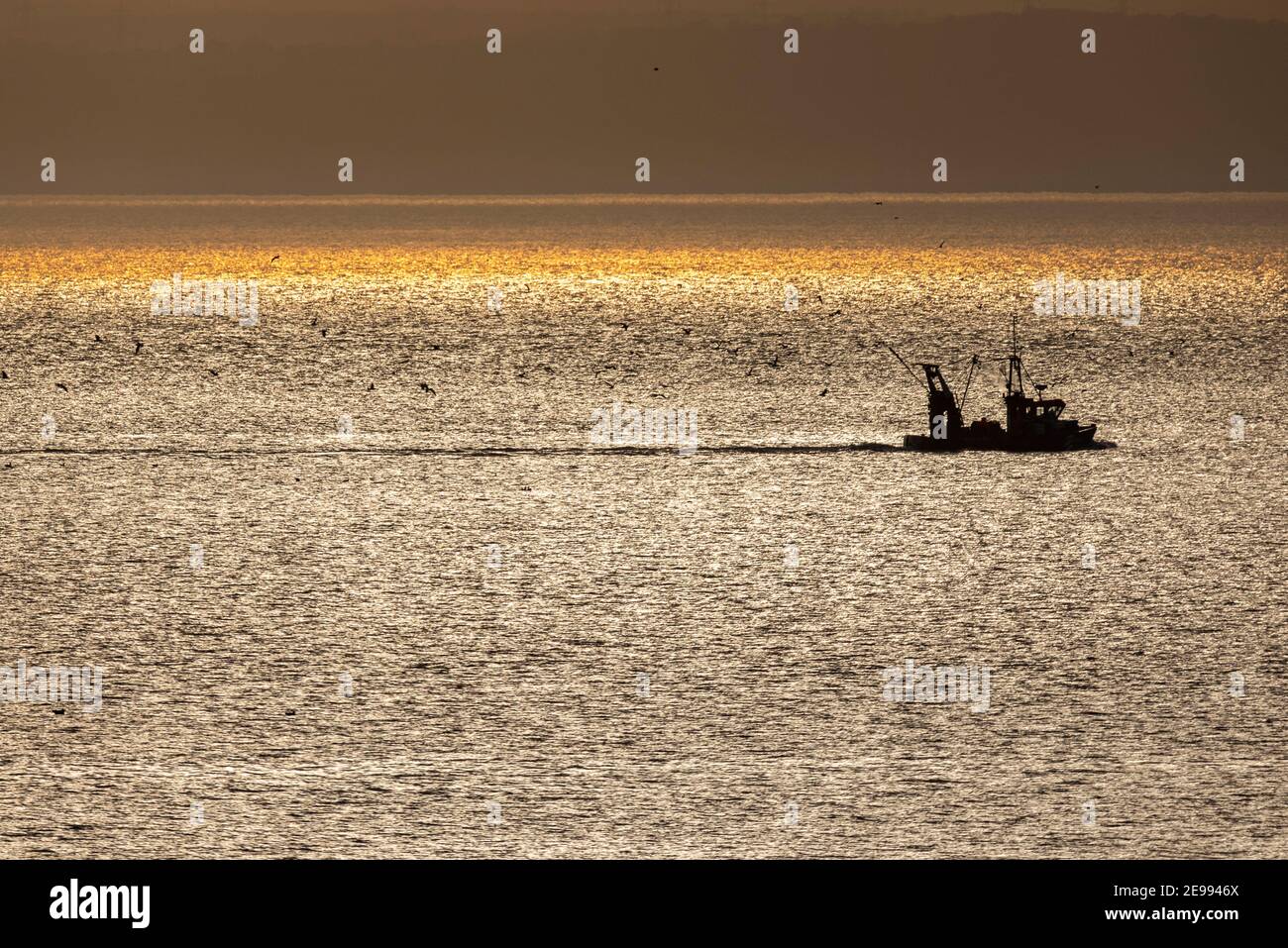 Southend on Sea, Essex, UK. 3rd Feb, 2021. A fishing boat returning to ...