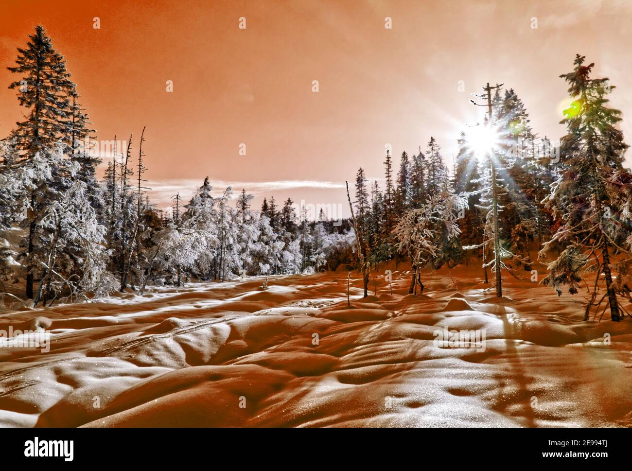Sun in winter sky no people hi-res stock photography and images - Alamy