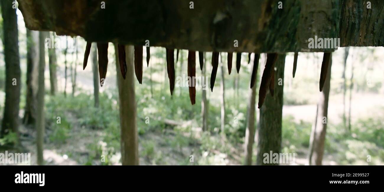 Wrong Turn Film High Resolution Stock Photography and Images - Alamy