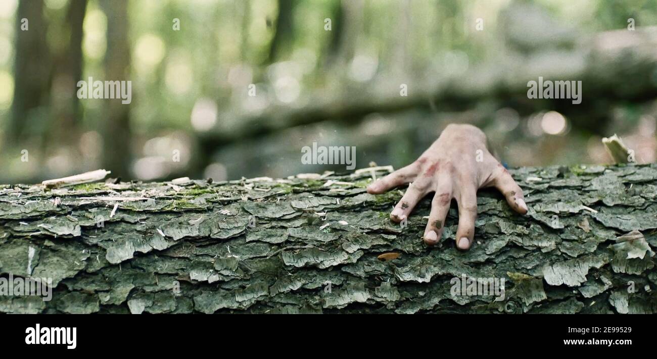 Wrong Turn Film High Resolution Stock Photography and Images - Alamy