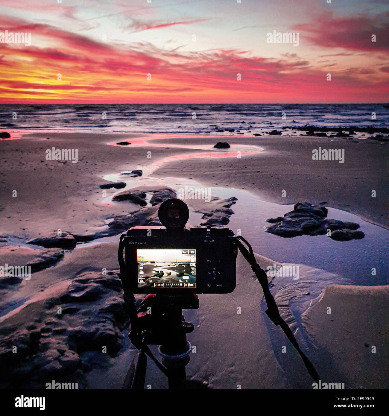camera taking photo on beach Stock Photo - Alamy