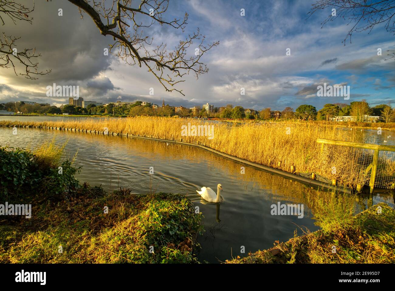 A Private Swim Lane - Poole Park, Poole, Dorset Stock Photo - Alamy