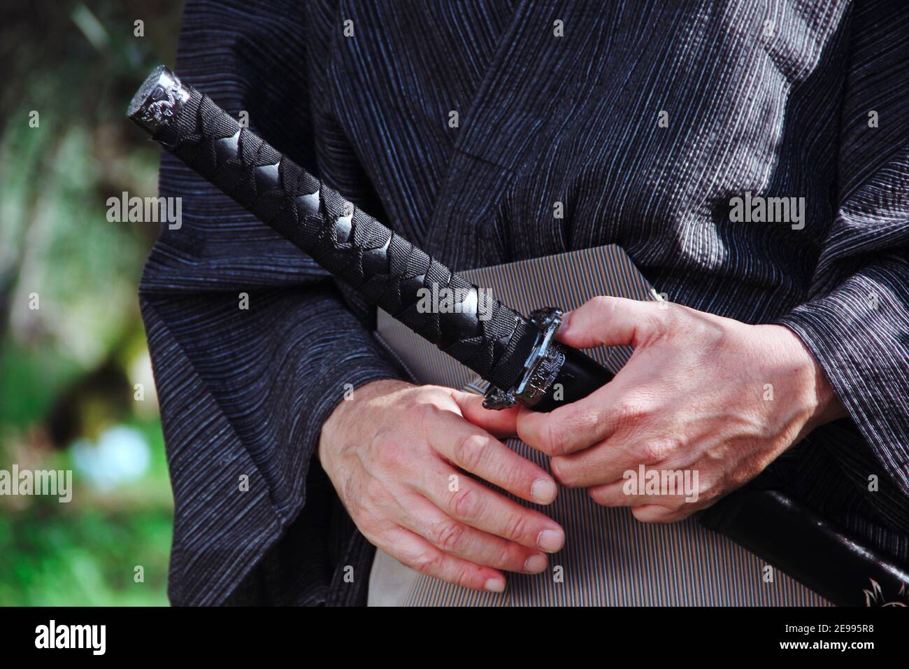 samurai hands with typical sword, green and tree in the background ...