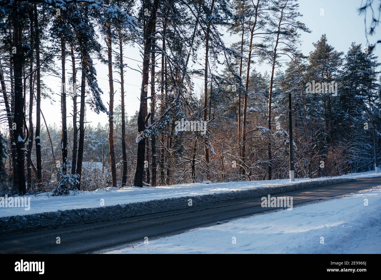 Winter highway through snowy forest hi-res stock photography and images ...