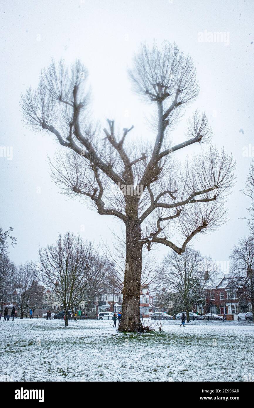 Beautiful cold snowy day in the city hi-res stock photography and ...