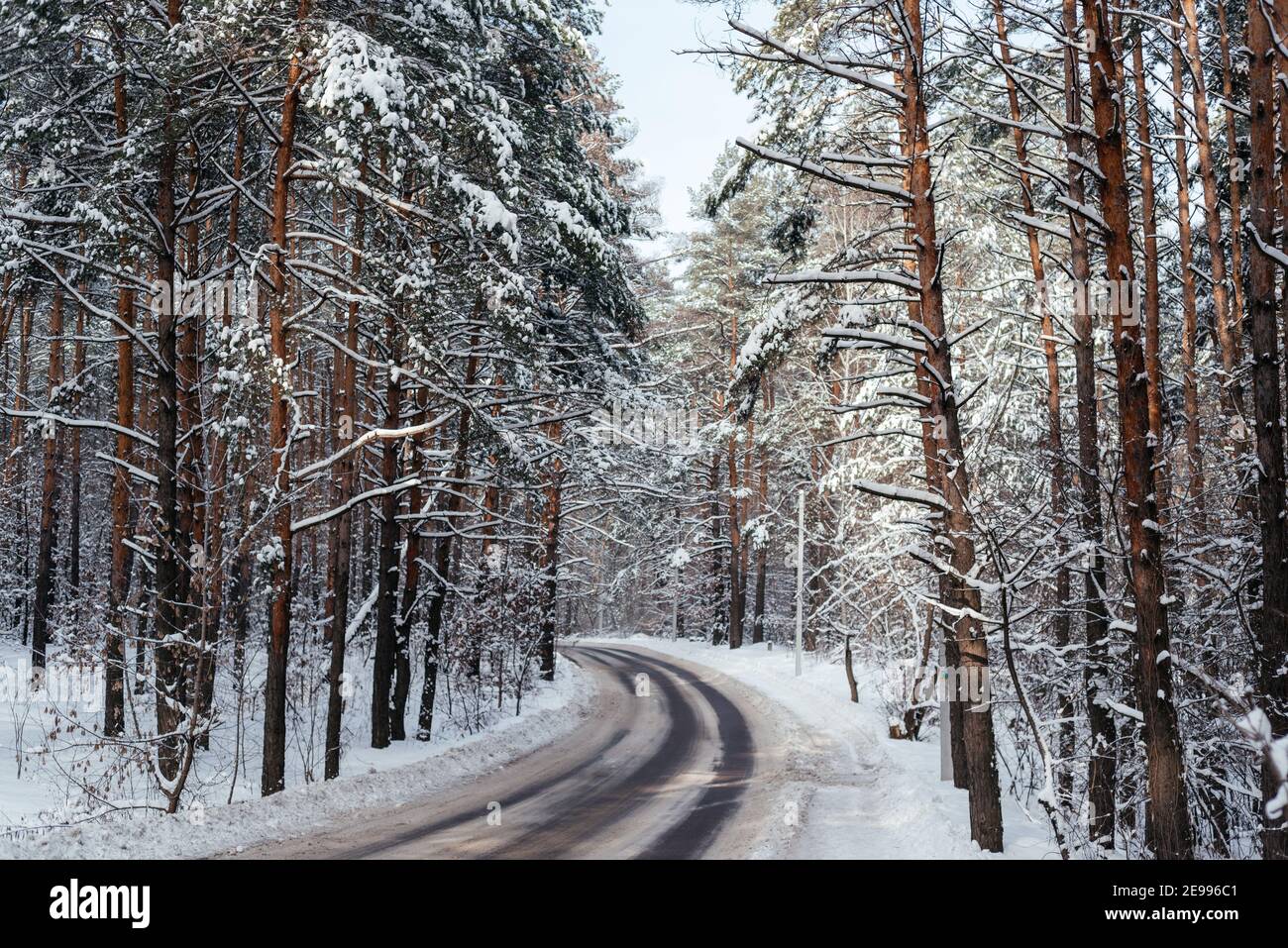 Winter road through snowy forest, beautiful winter background Stock ...