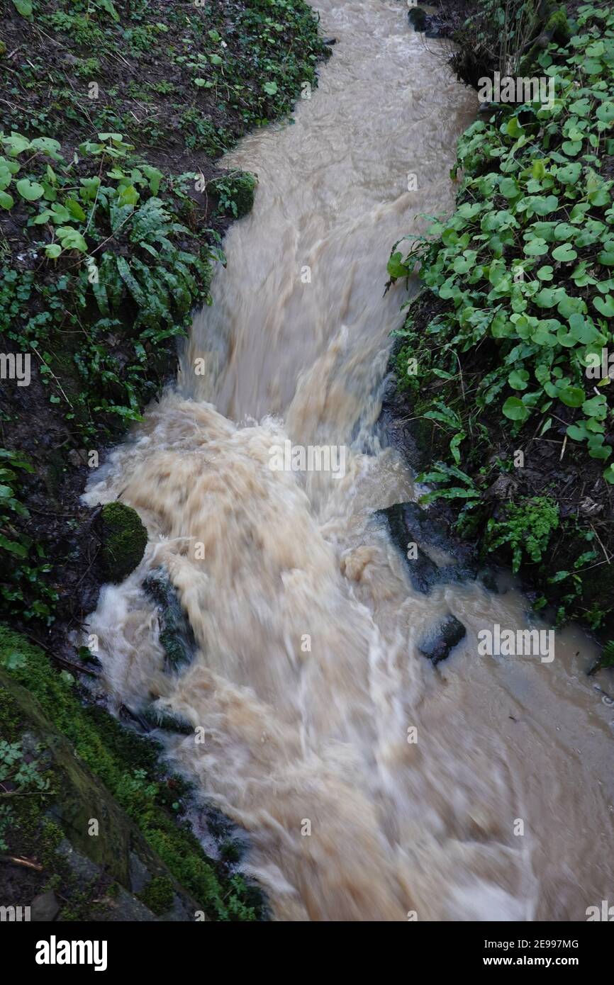 Fast flow burn (stream) in the Glen, North Berwick - following heavy ...