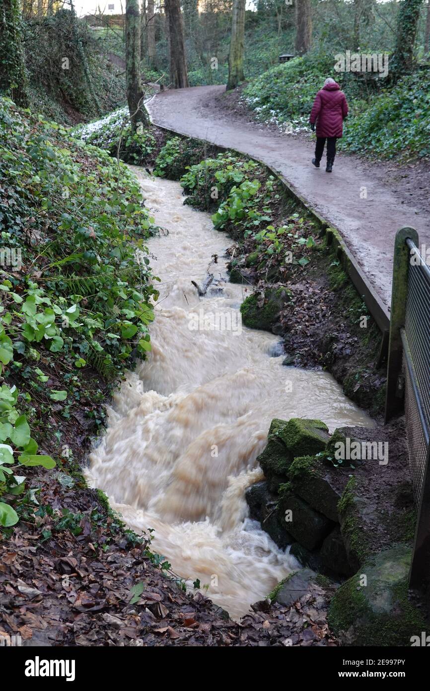 Fast flow burn (stream) in the Glen, North Berwick - following heavy ...