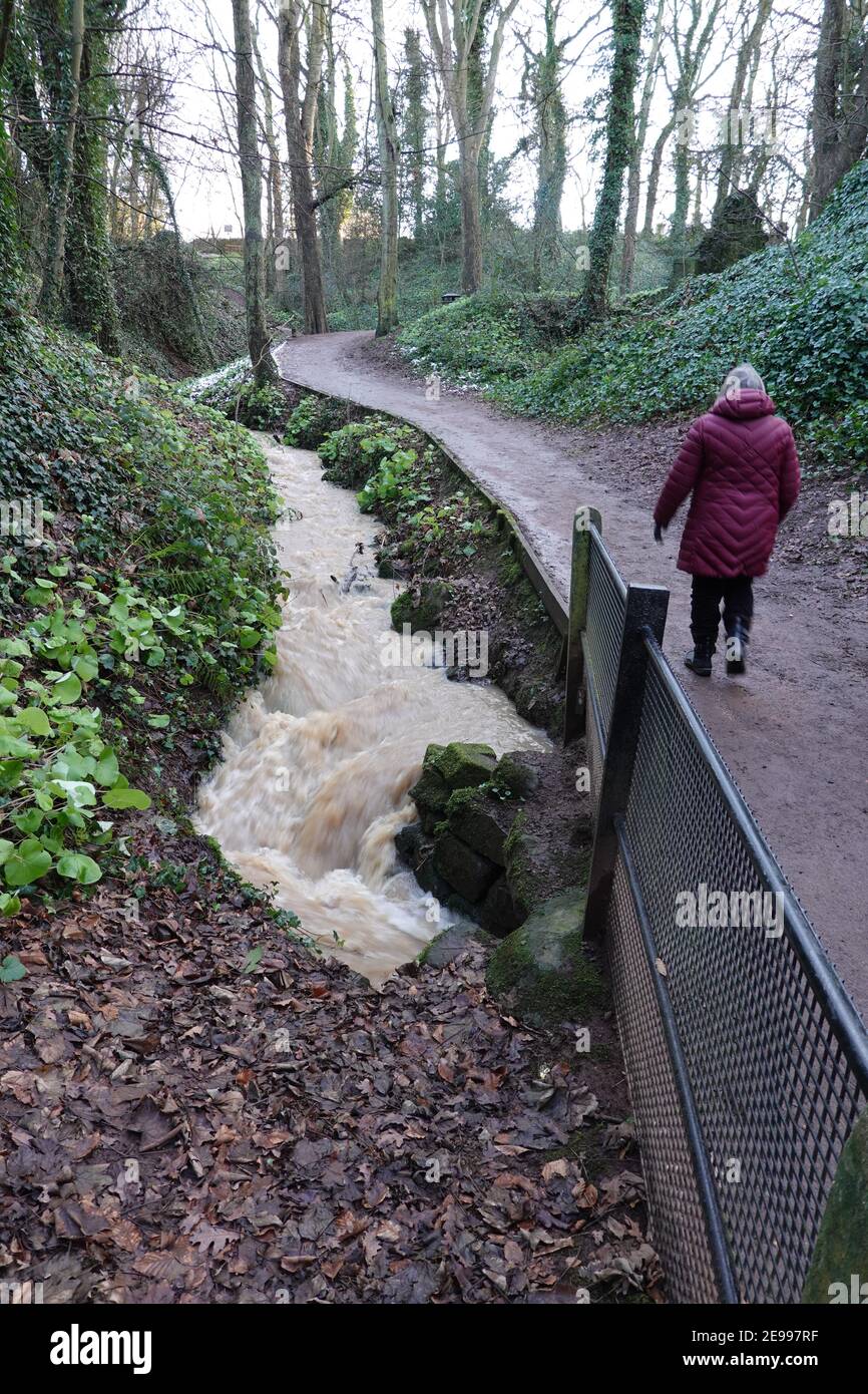 Fast flow burn (stream) in the Glen, North Berwick - following heavy ...