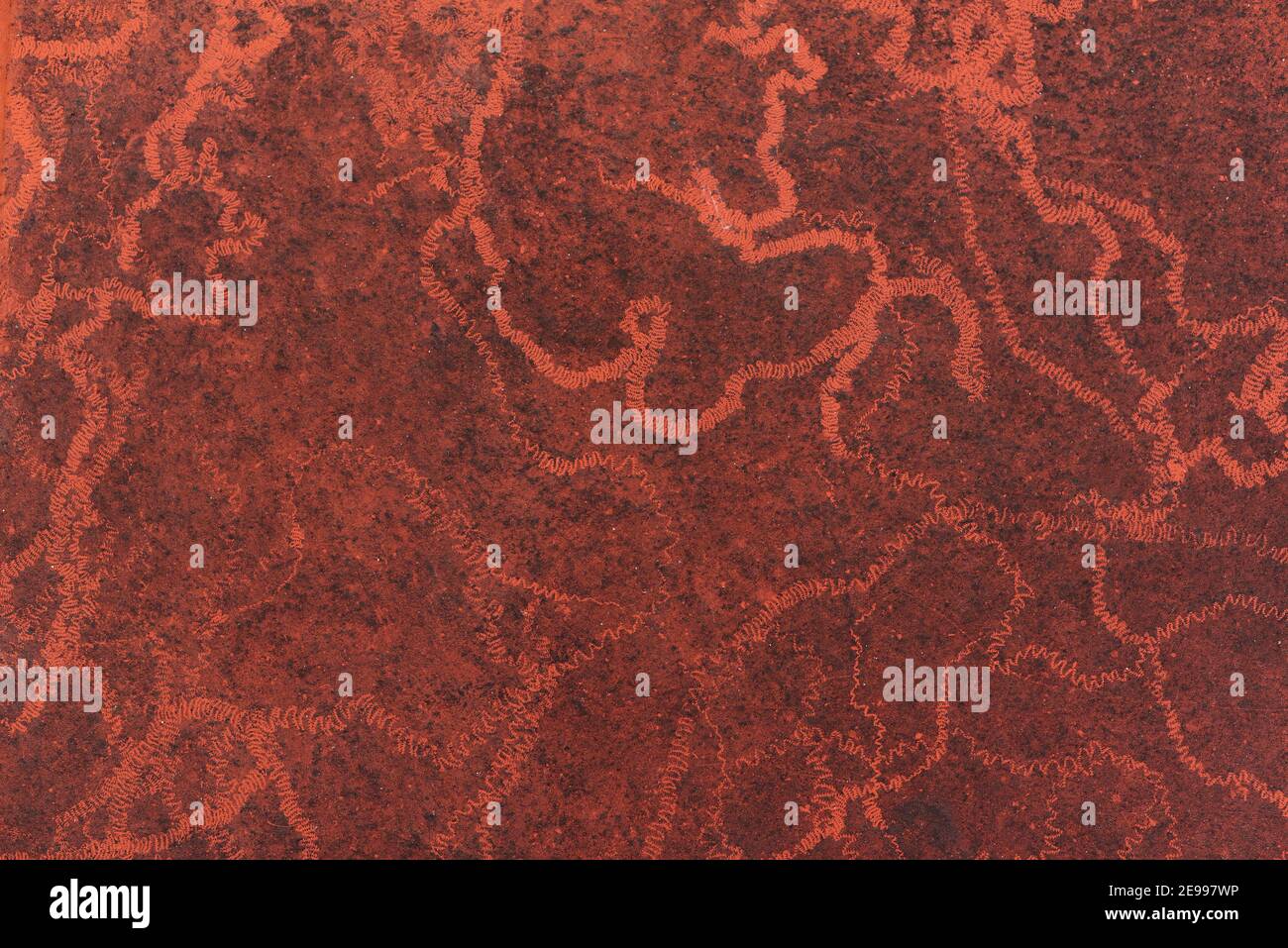 Red Car Paint Texture