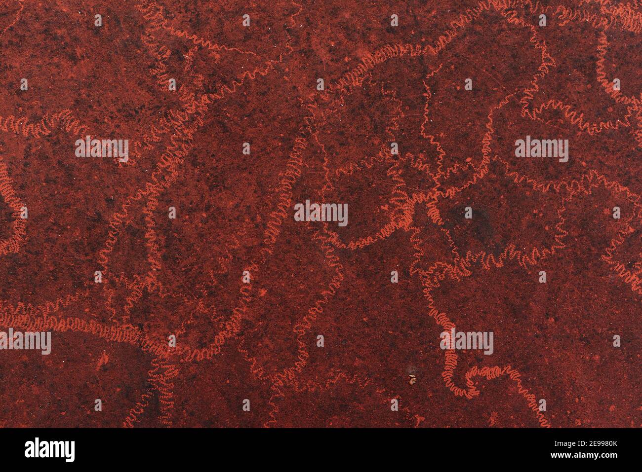 Rugged and weathered red metal texture car paint with interesting ...