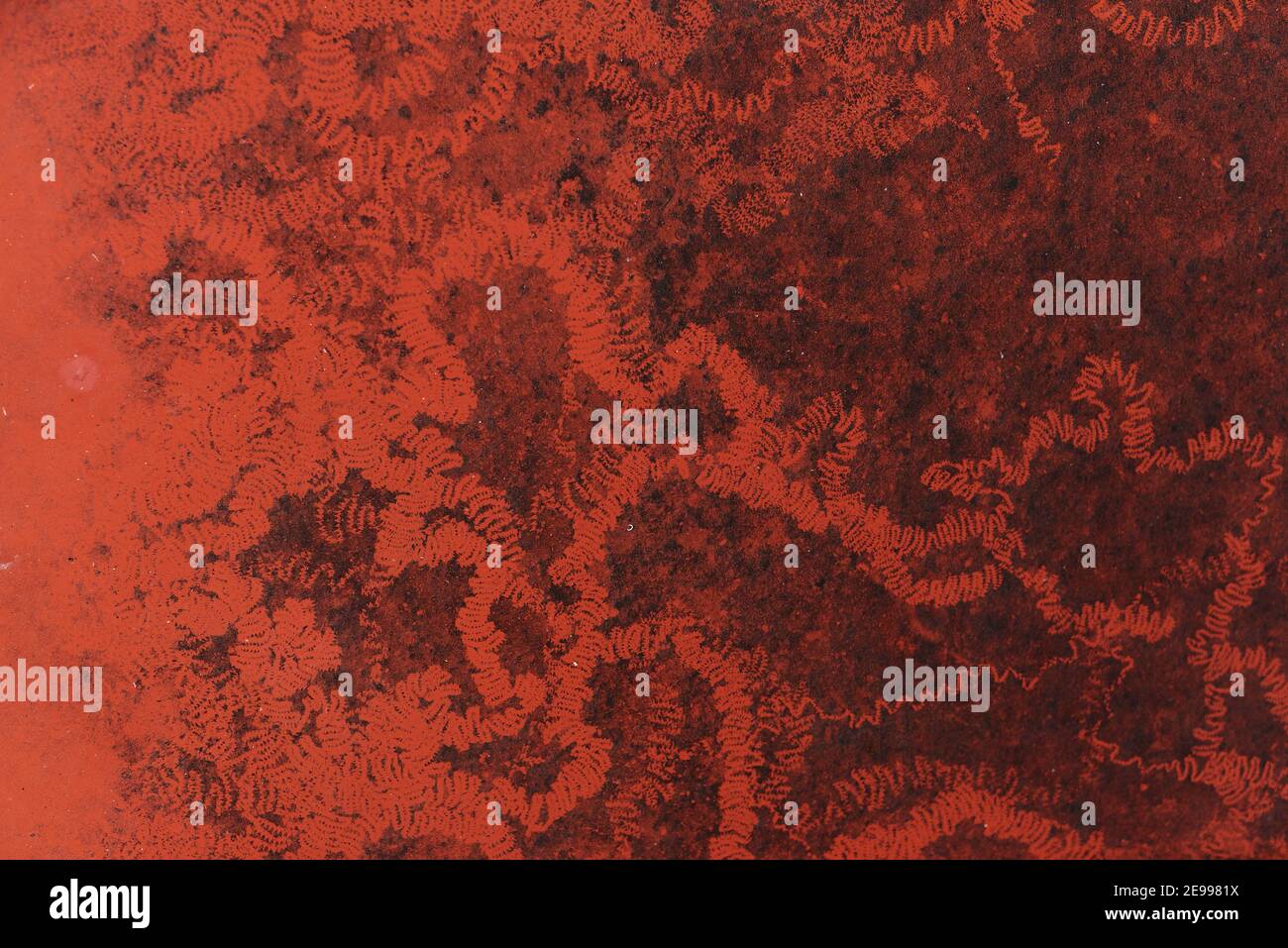 Rugged and weathered red metal texture car paint with interesting ...