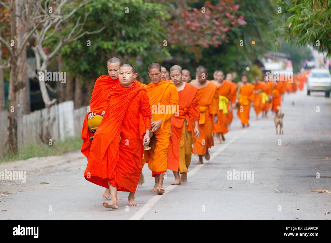 Luang Prabang, Laos Tak Bat or The monk's morning alms procession Stock ...