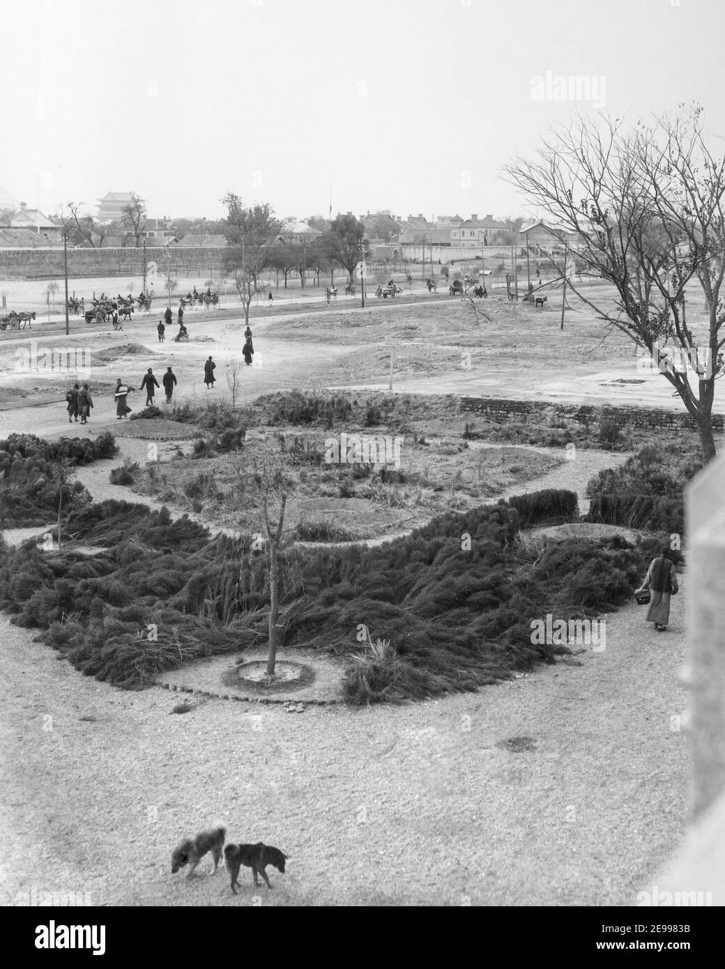 Early 20th century photograph - Legation Quarter Peking Beijing c.1905 ...