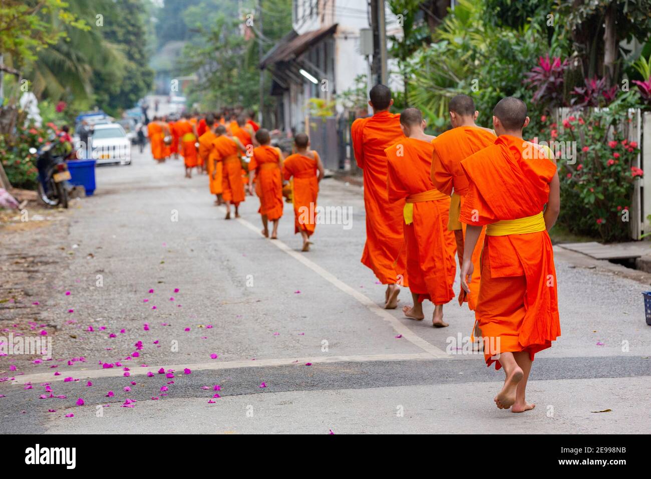 Luang Prabang, Laos Tak Bat or The monk's morning alms procession Stock ...