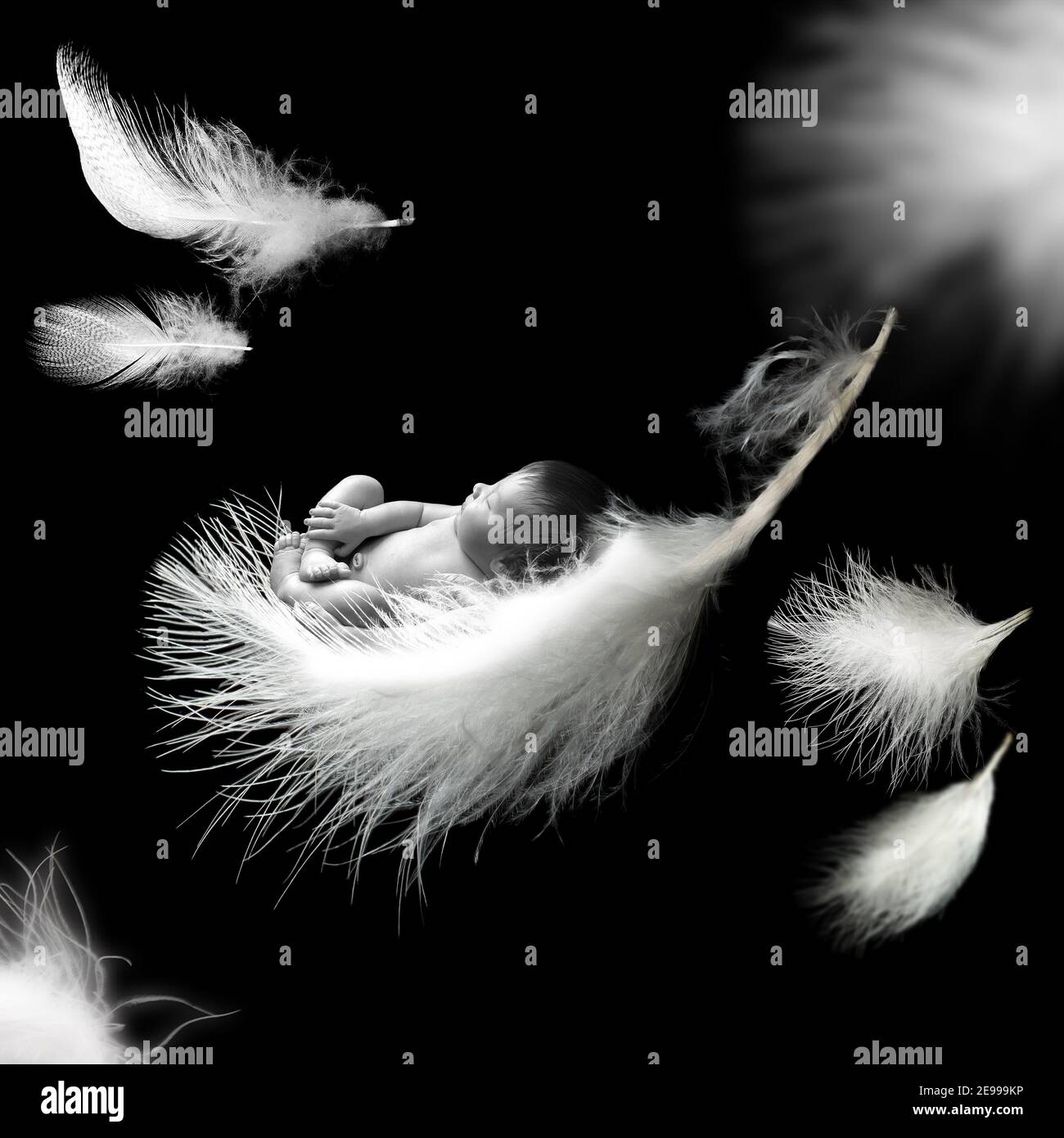 Newborn baby sleeping on white feathers Stock Photo - Alamy