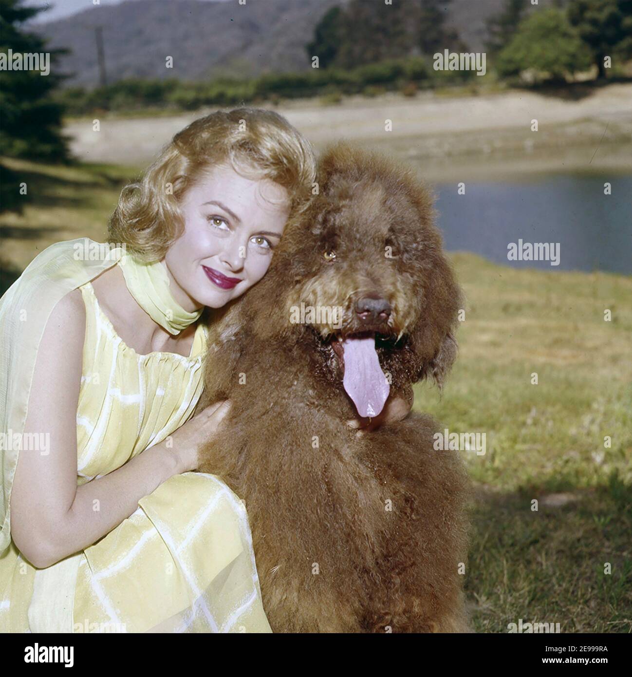 Actress donna reed hi-res stock photography and images - Alamy