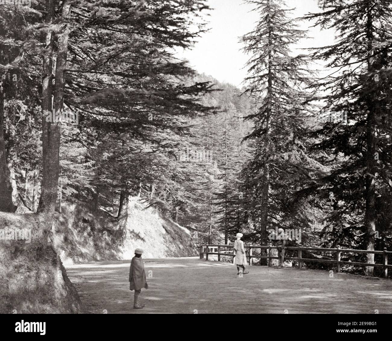 Late 19th century photograph - The Mall, Simla, Shimla, India Stock ...