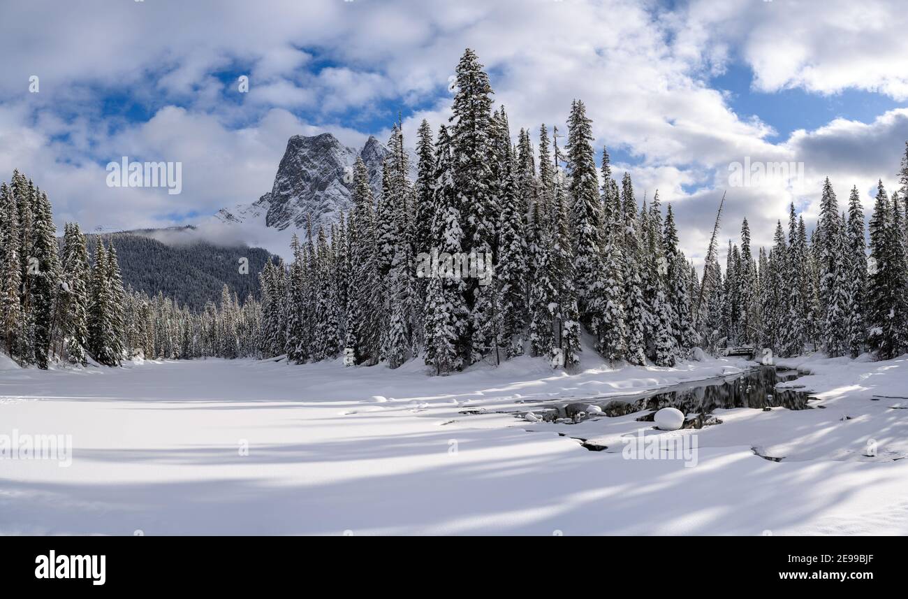Winter landscape in the Yoho National Park, with Mount Burgess in the ...