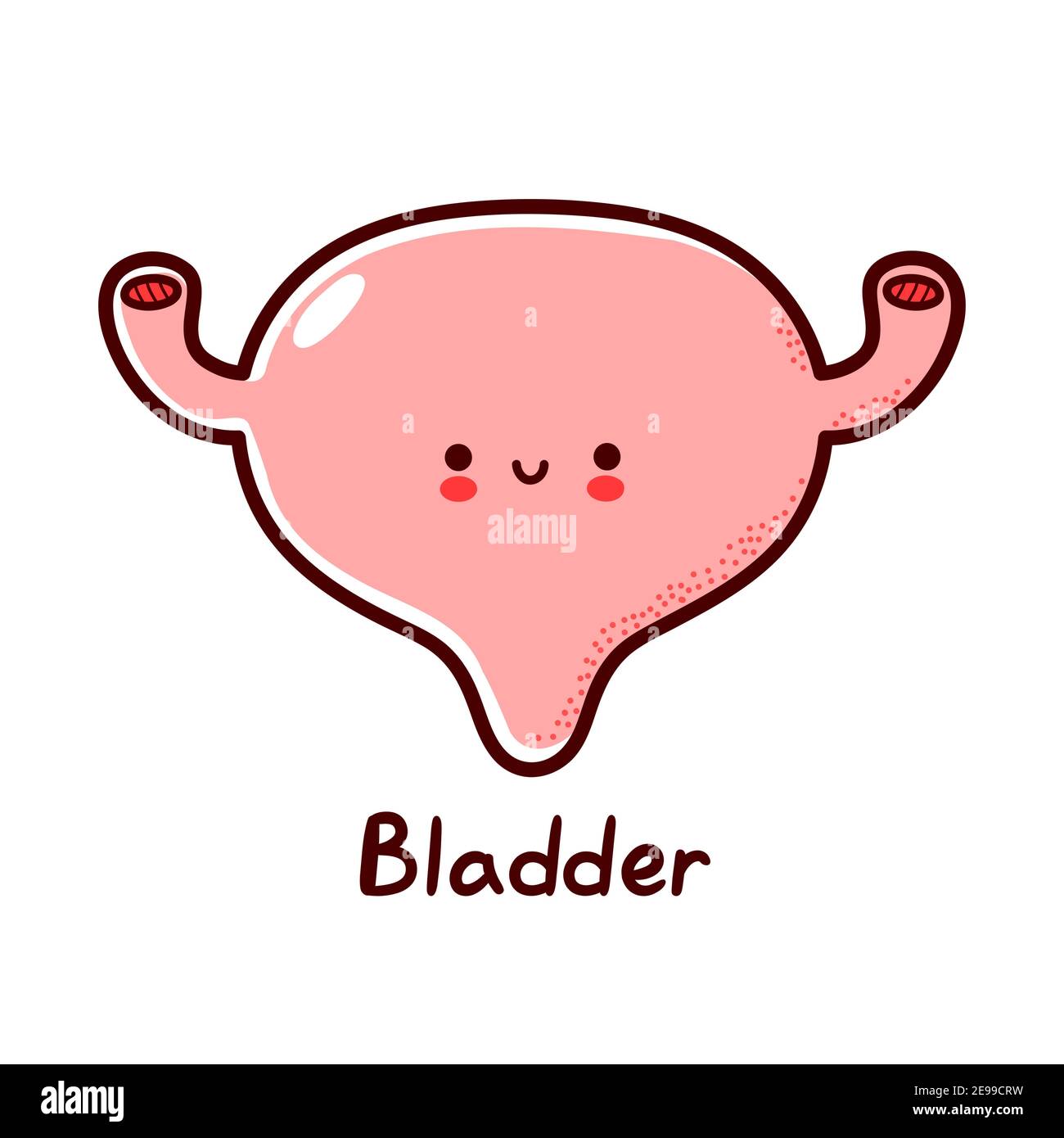 Cute happy funny human bladder organ character. Vector flat line ...