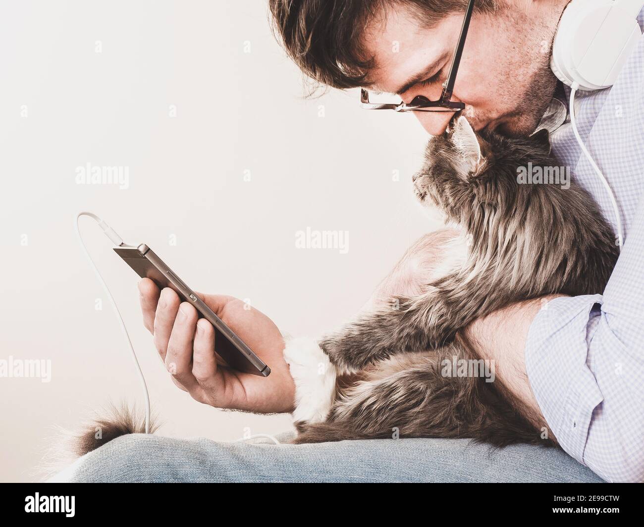 Cute, fluffy kitten and a man with a phone. Pet care concept Stock ...