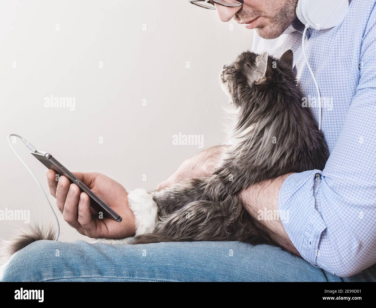Cute, fluffy kitten and a man with a phone. Pet care concept Stock ...