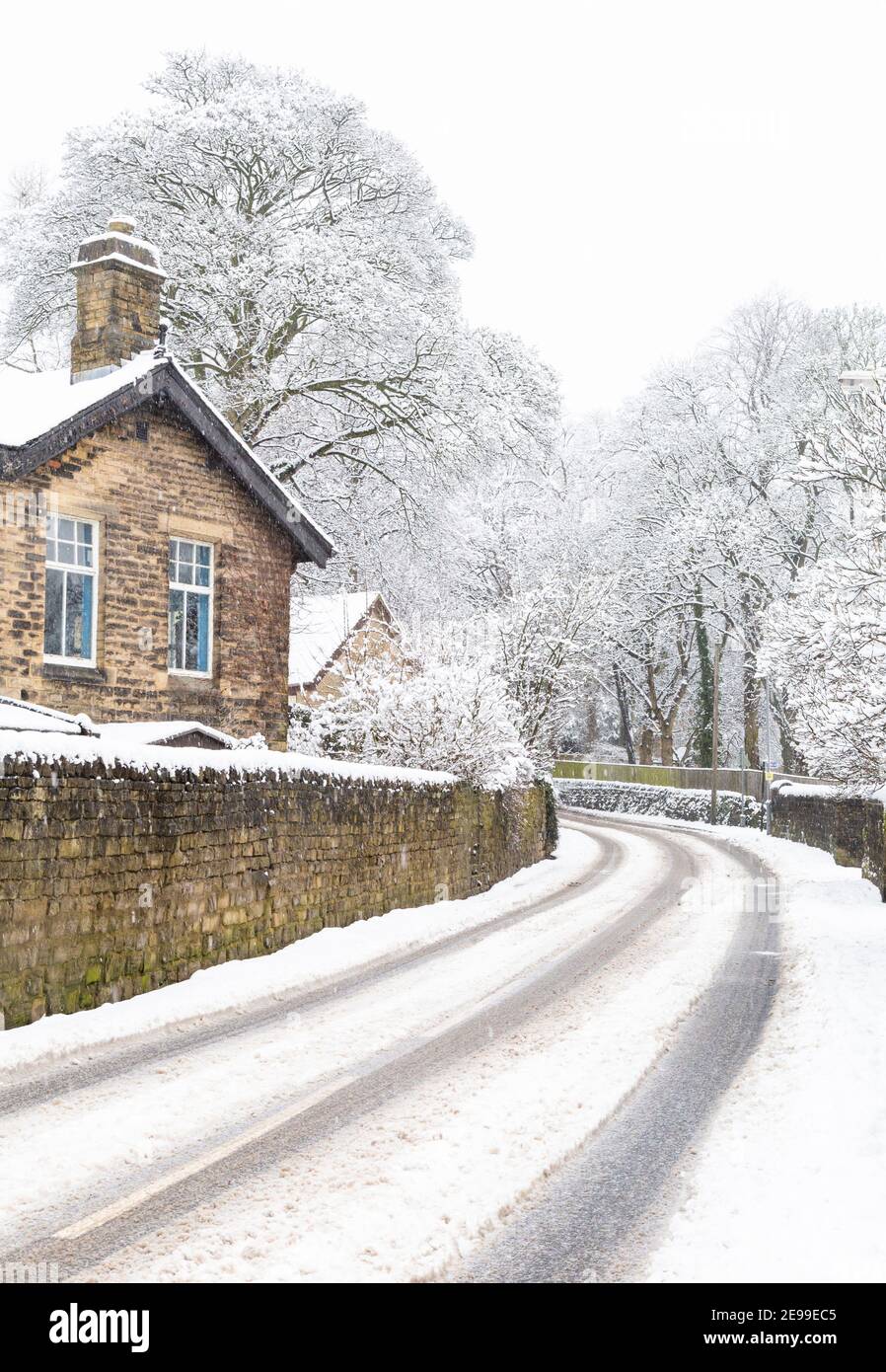 Trees Covering Road High Resolution Stock Photography and Images - Alamy