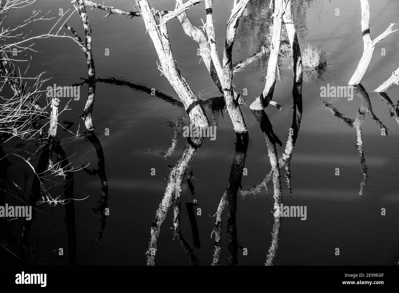 Painterly water texture hi-res stock photography and images - Alamy