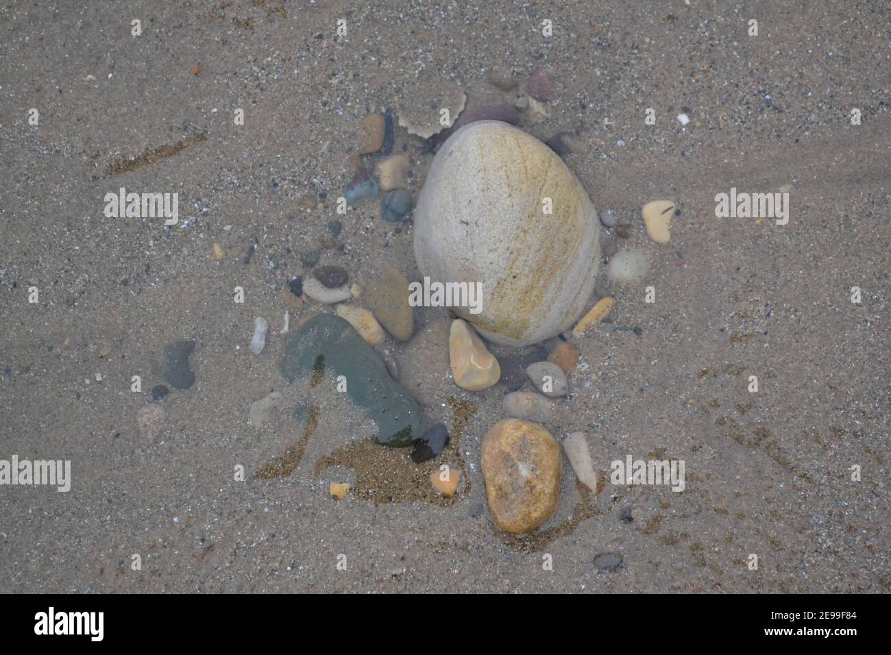 Beach stones and shells hi-res stock photography and images - Alamy