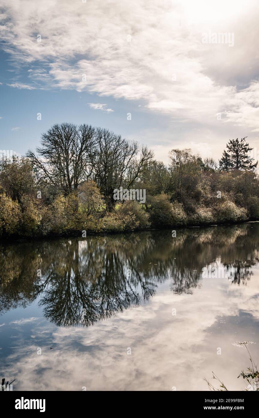Trees on river shore reflect in water with clouds Stock Photo - Alamy