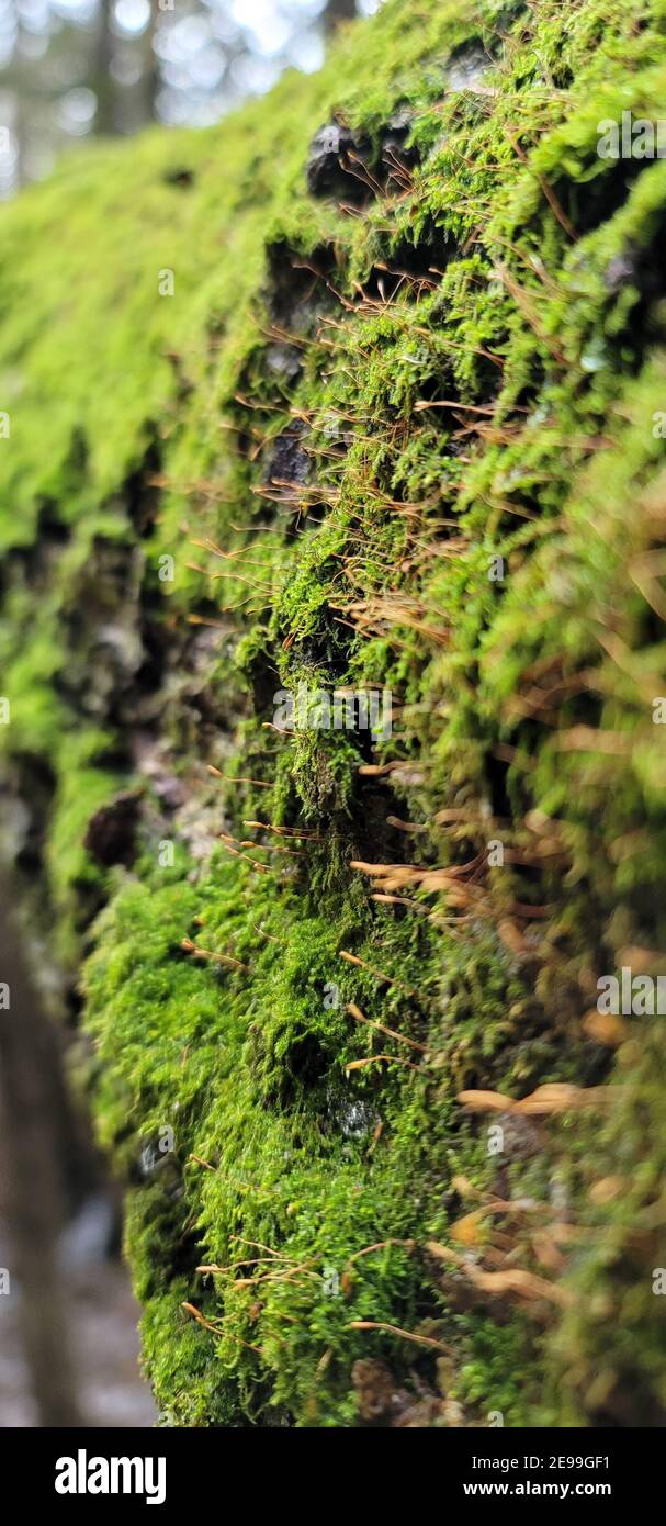 Ministy hi-res stock photography and images - Alamy