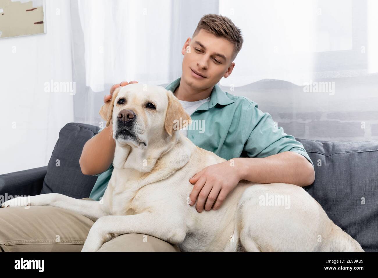 pleased man sitting on couch and cuddling labrador Stock Photo - Alamy