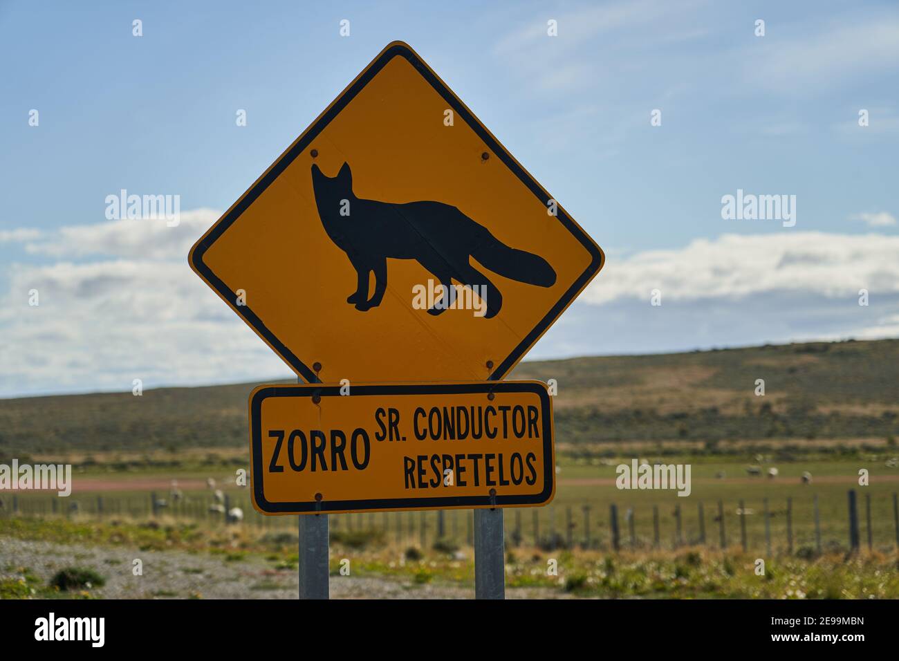 yellow and black road sign showing a fox, and saying zorro, slow down ...