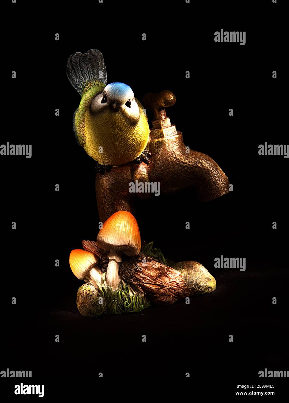 Still Life Photography in the Home studio Stock Photo - Alamy