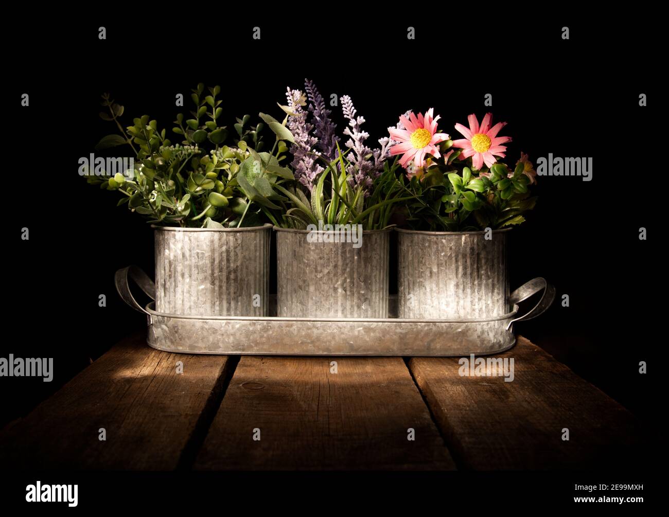 Still Life Photography in the Home studio Stock Photo - Alamy