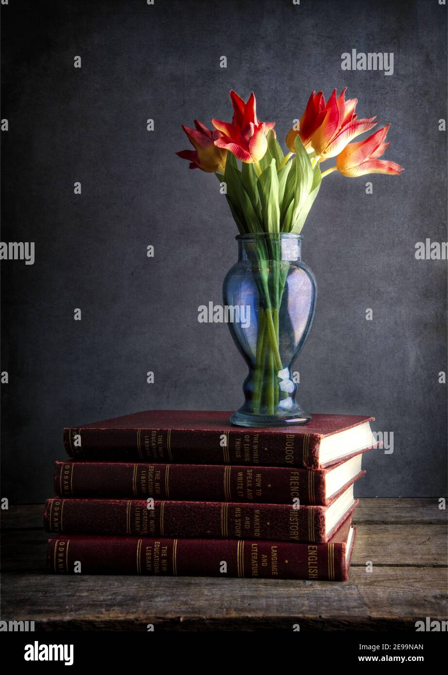 Still Life Photography in the Home studio Stock Photo - Alamy