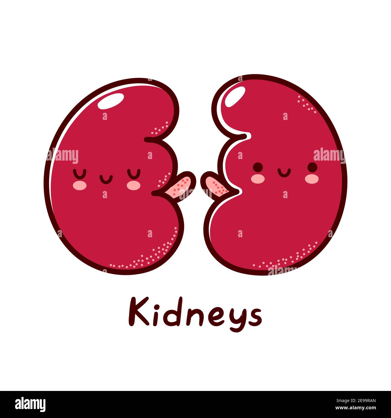 Nephrologist Stock Vector Images - Alamy