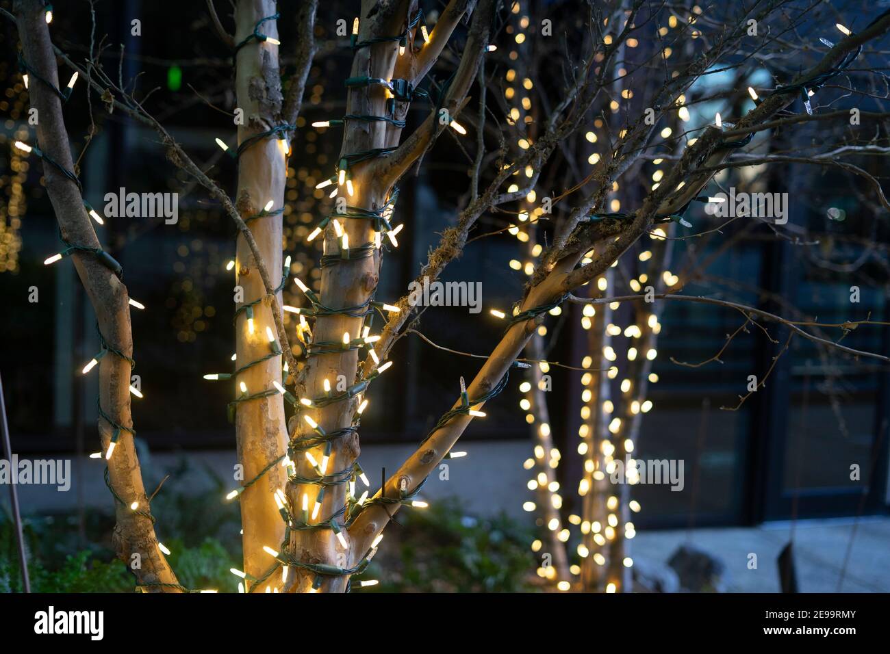 Family around christmas tree hi-res stock photography and images - Alamy