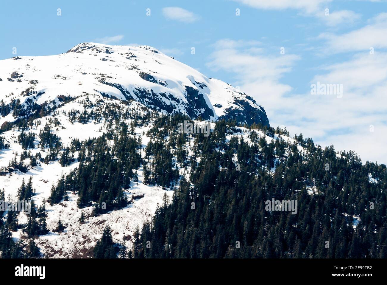A snowy mountain summit and evergreen trees in southern Alaska Stock ...