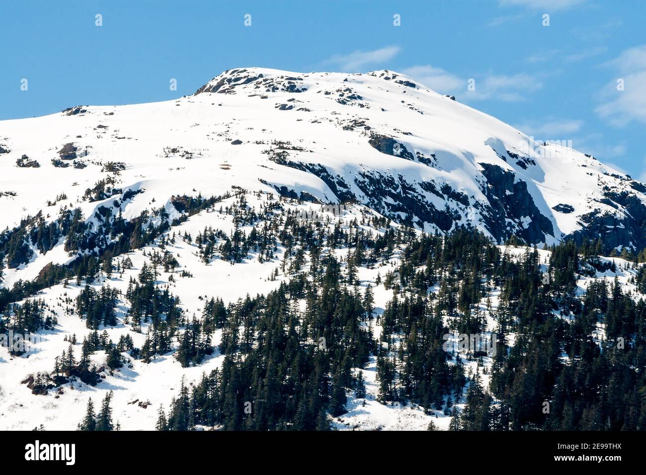 A snowy mountain summit and evergreen trees in southern Alaska Stock ...