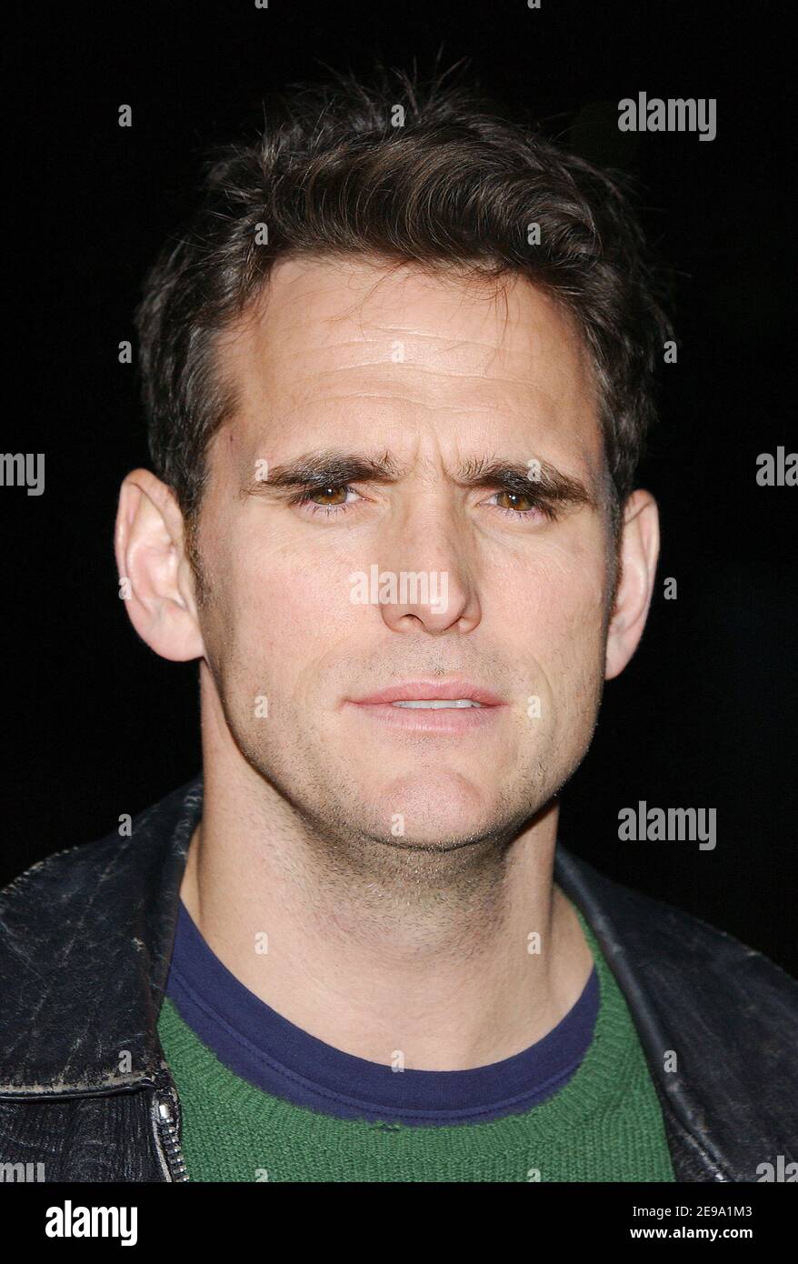 Actor Matt Dillon arrives at the 5th Annual Tribeca Film Festival ...