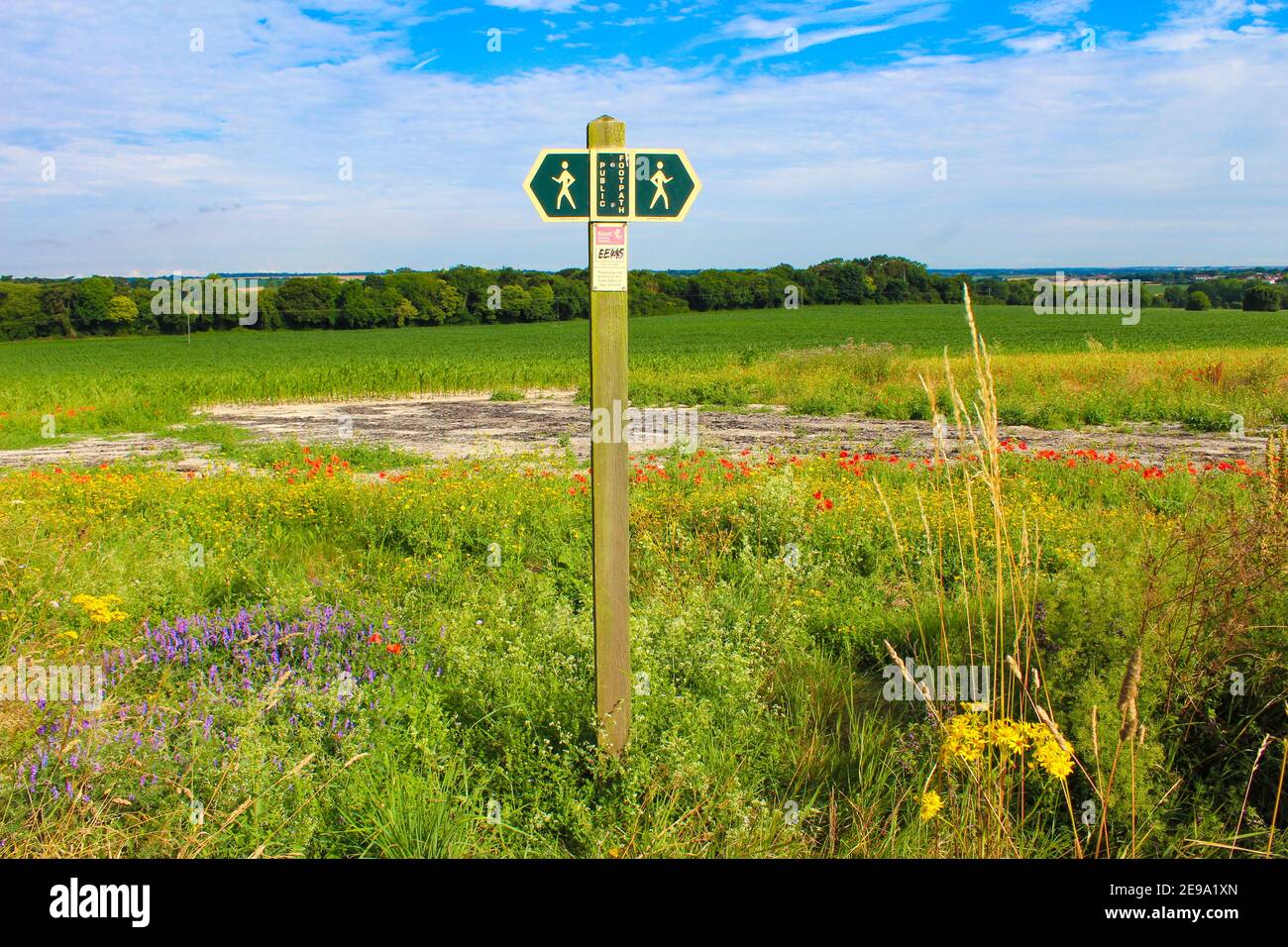 Signpost indicating walking route hi-res stock photography and images ...
